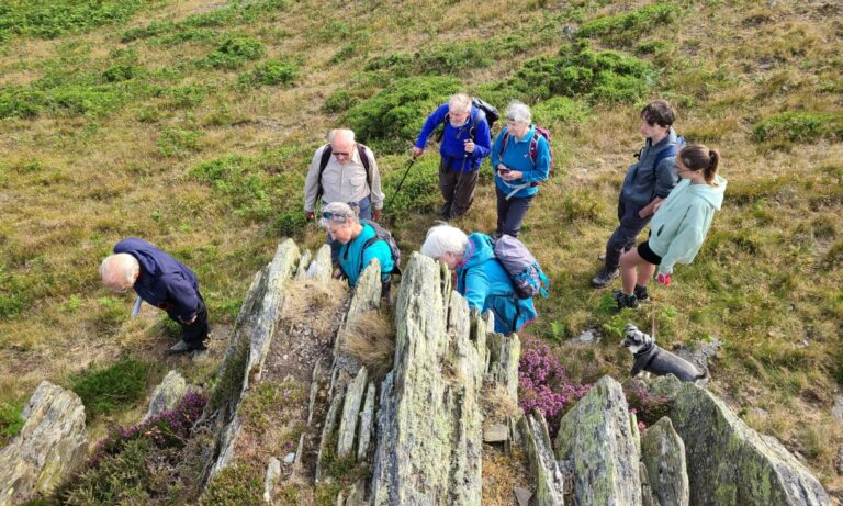 Upcoming WGS & OUGS field trips