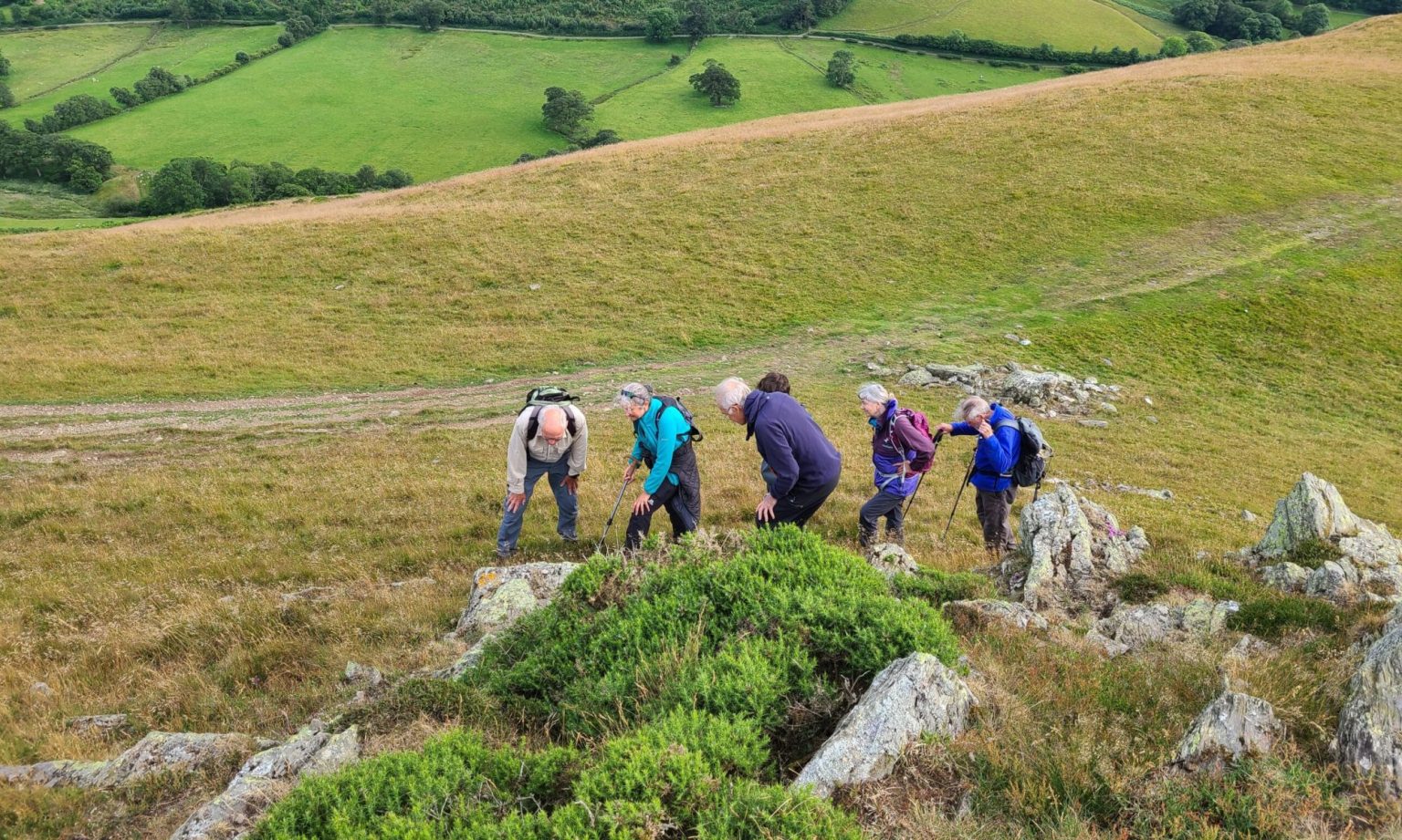 Geology of Cumbria